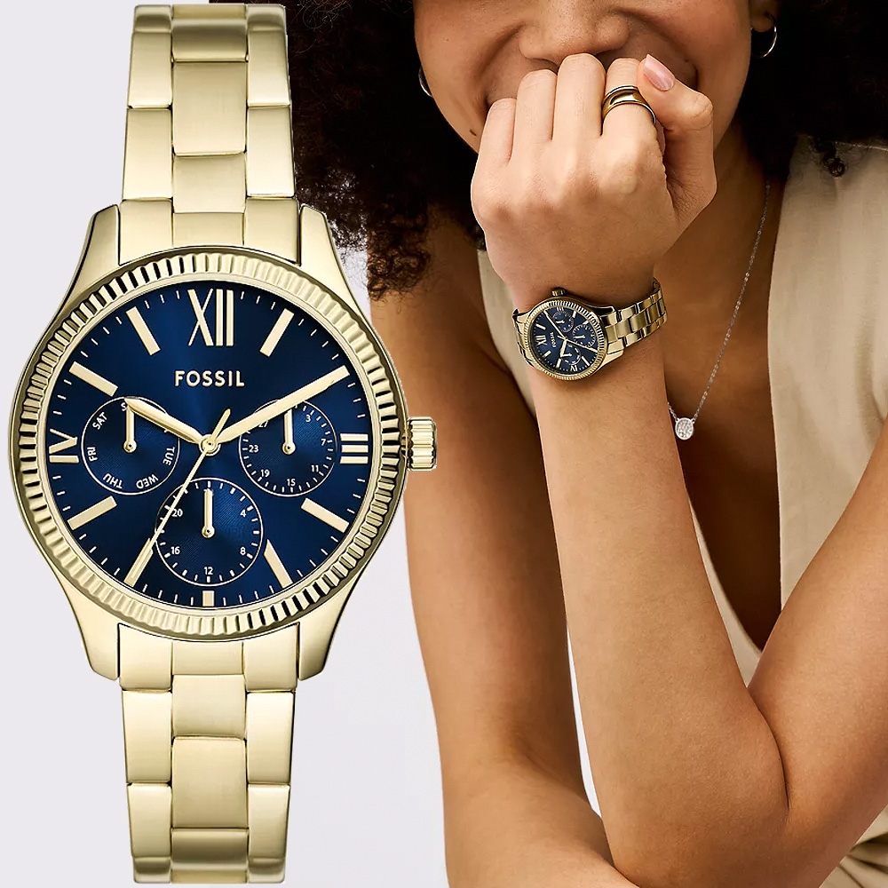 BQ3964 Fossil Rye Reloj para Mujer